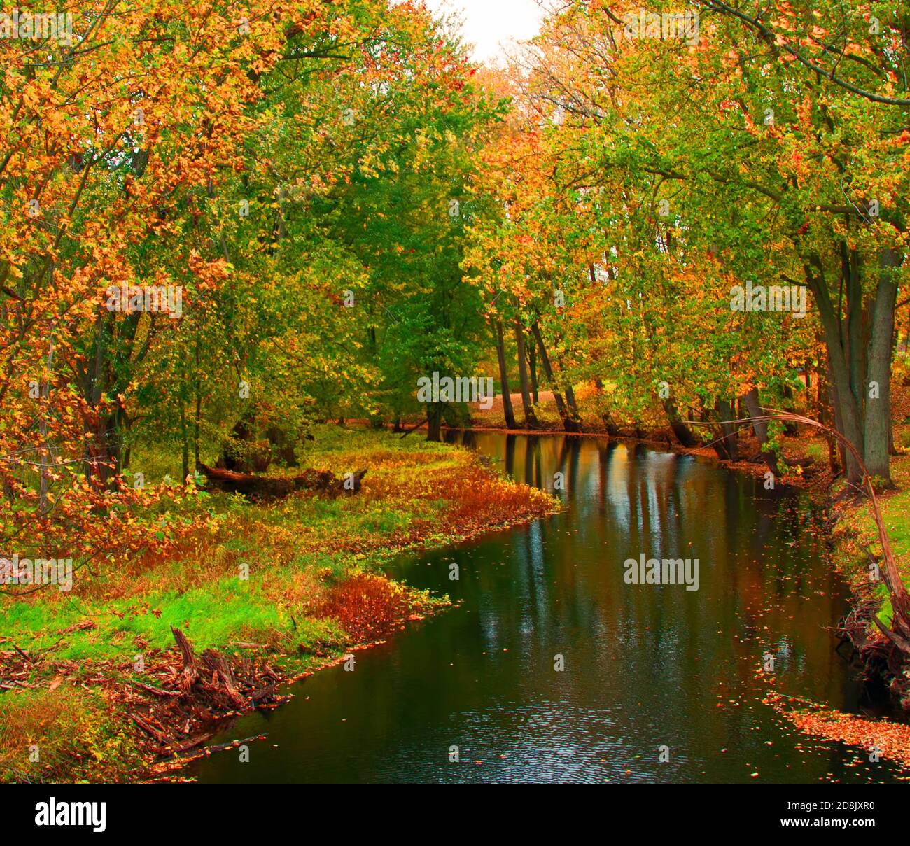 Shallow river stream flowing calmly hi-res stock photography and images ...