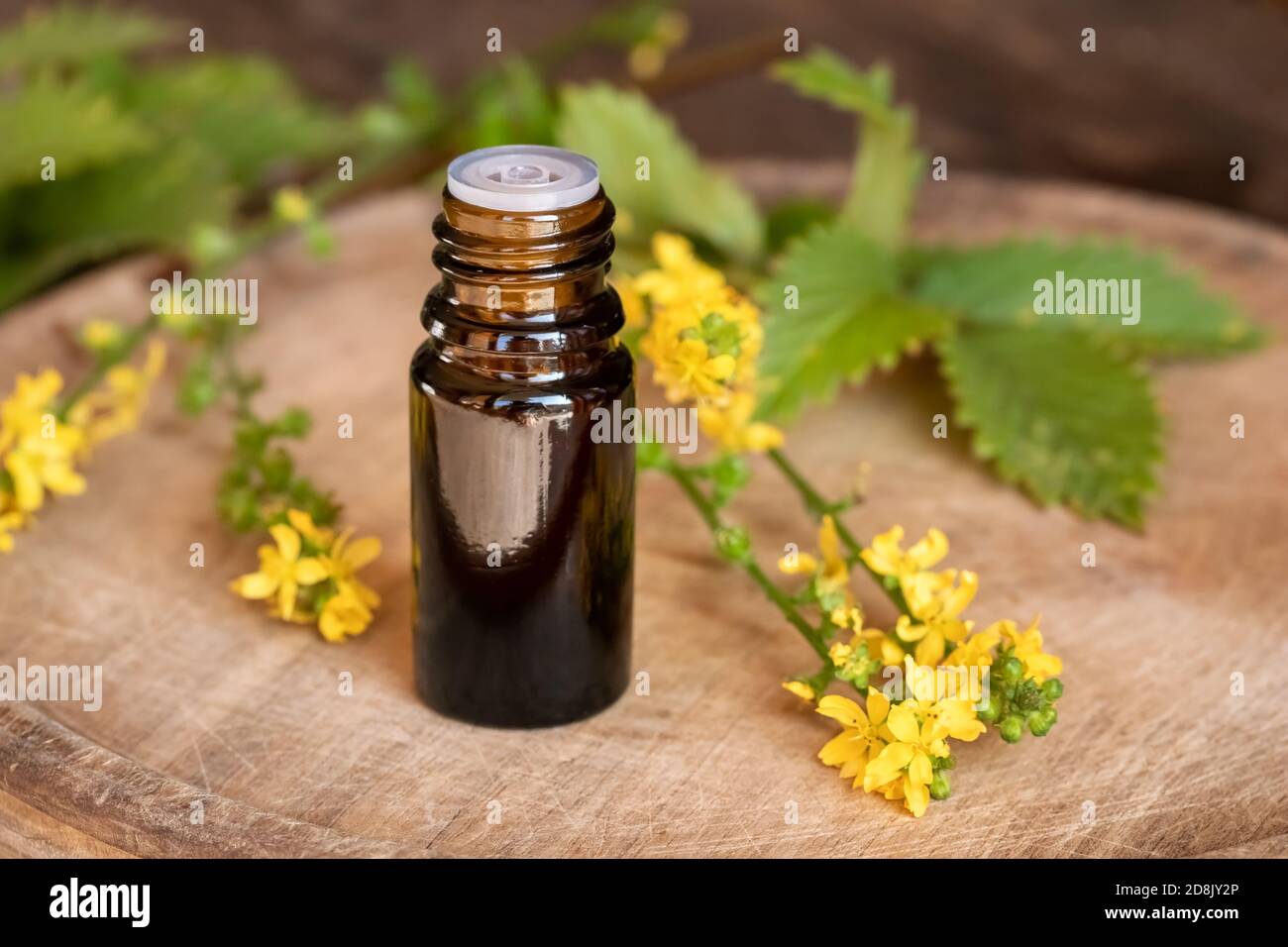 Essential oil of agrimony hi-res stock photography and images - Alamy