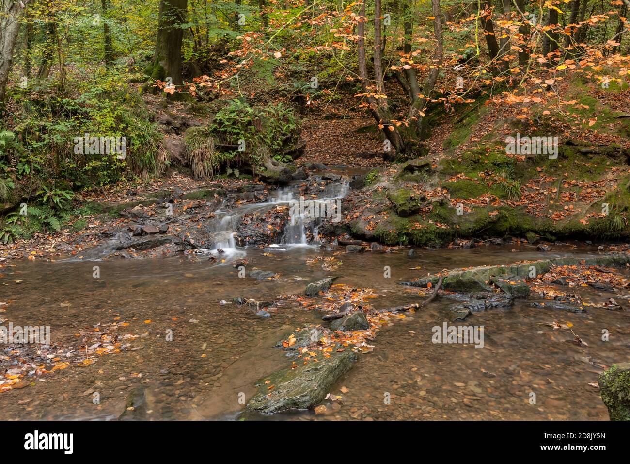 Wepre park hi-res stock photography and images - Alamy