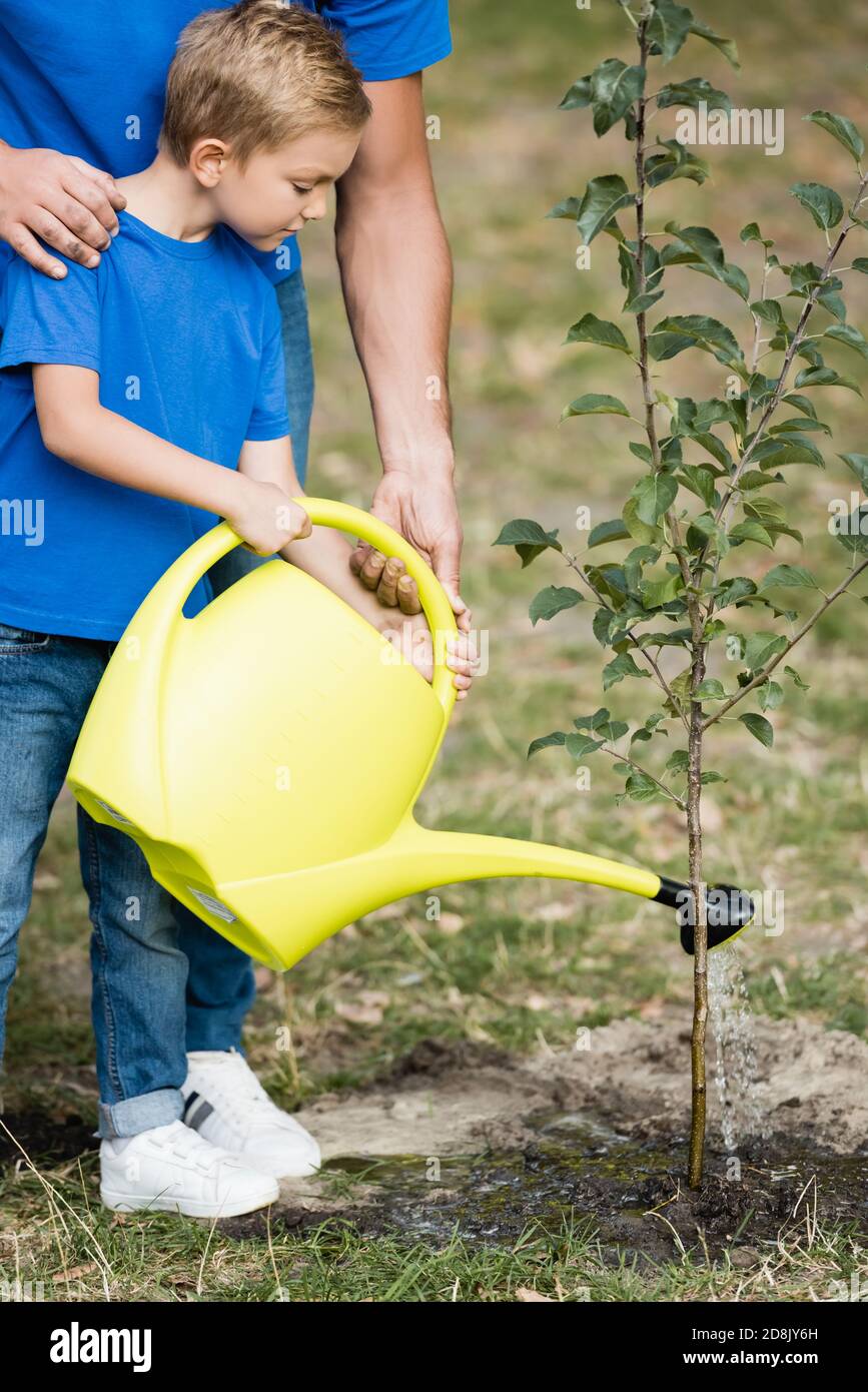 partial view of boy with father watering young tree planted in park ...