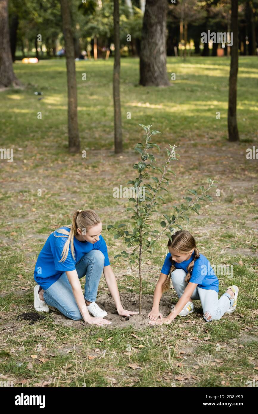daughter with mother planting young tree in park, ecology concept Stock ...