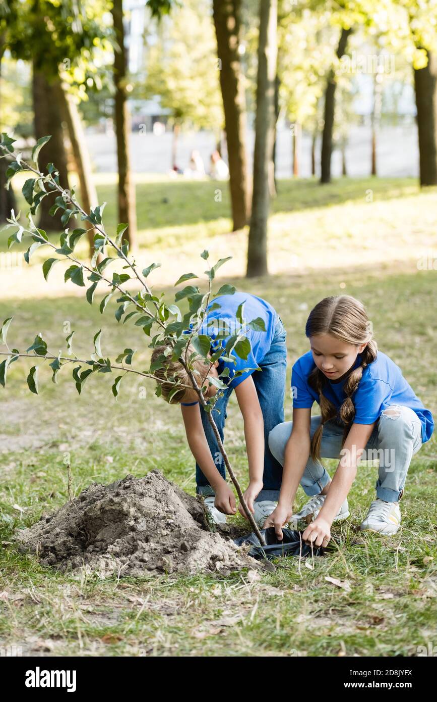 mother and daughter planting young tree in forest, ecology concept ...
