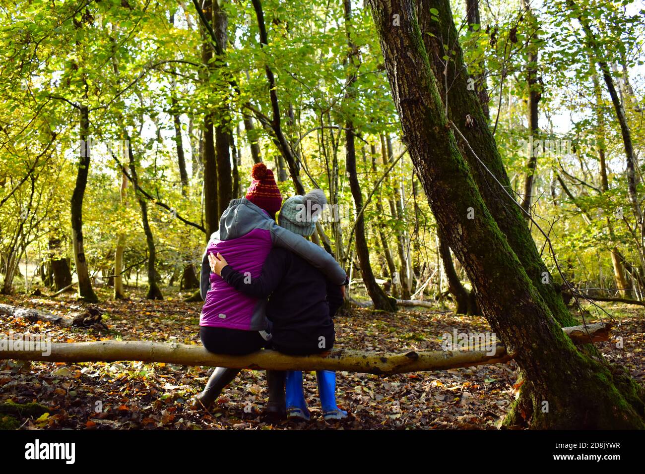 Autumn scene of two children sitting on a log in the woods Stock Photo ...