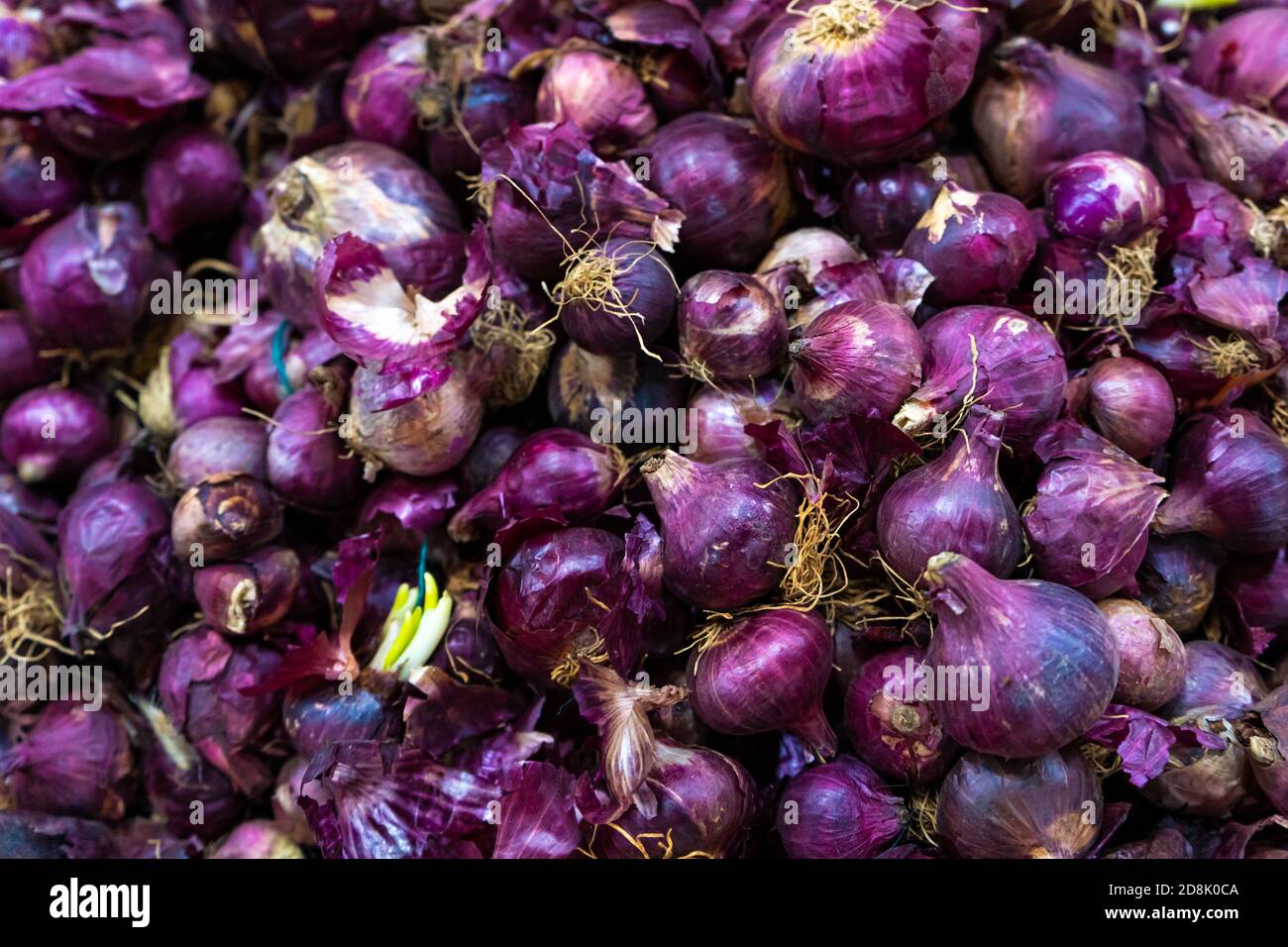 Lots of onions for sale hi-res stock photography and images - Alamy