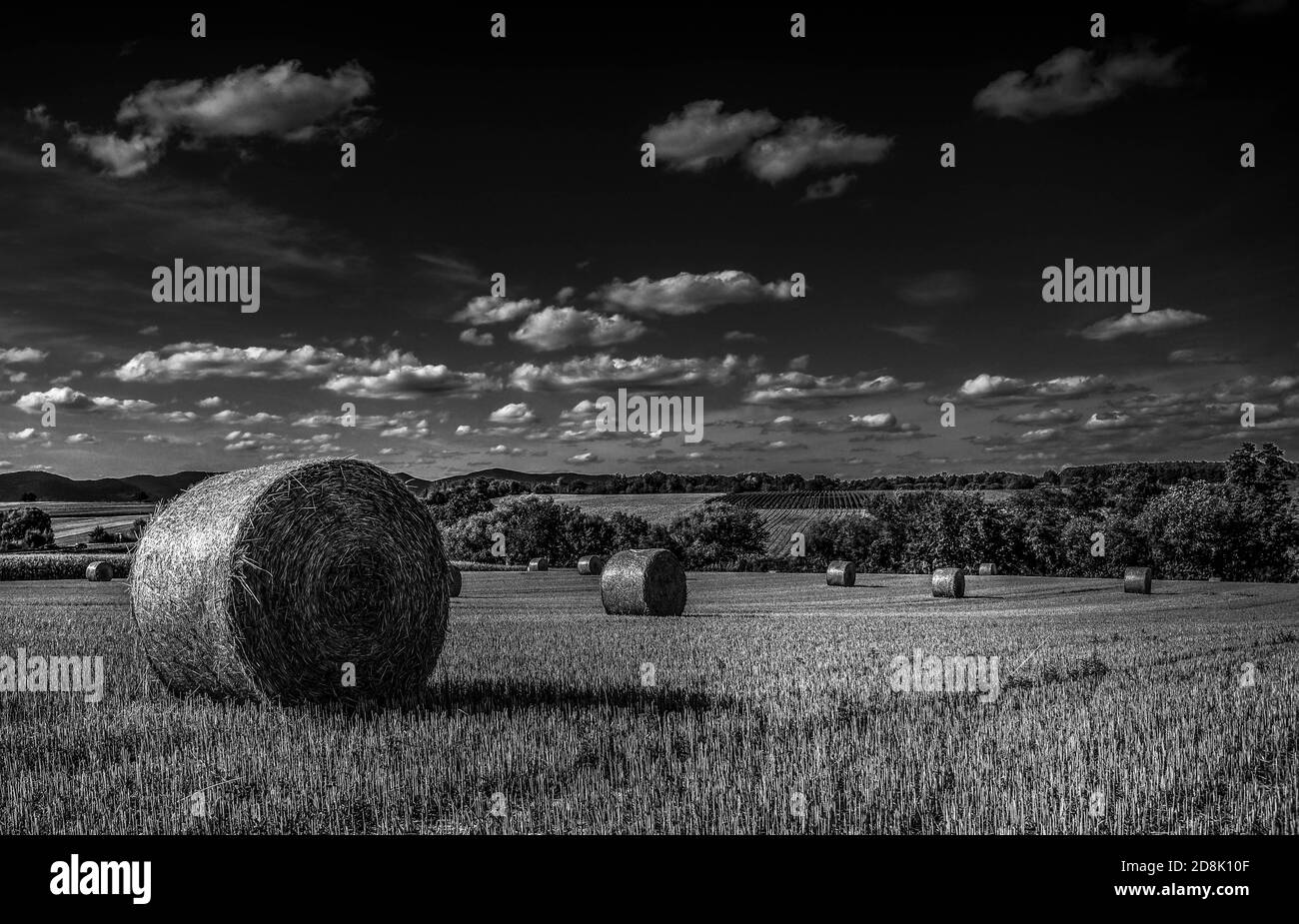 Things field Black and White Stock Photos & Images - Alamy