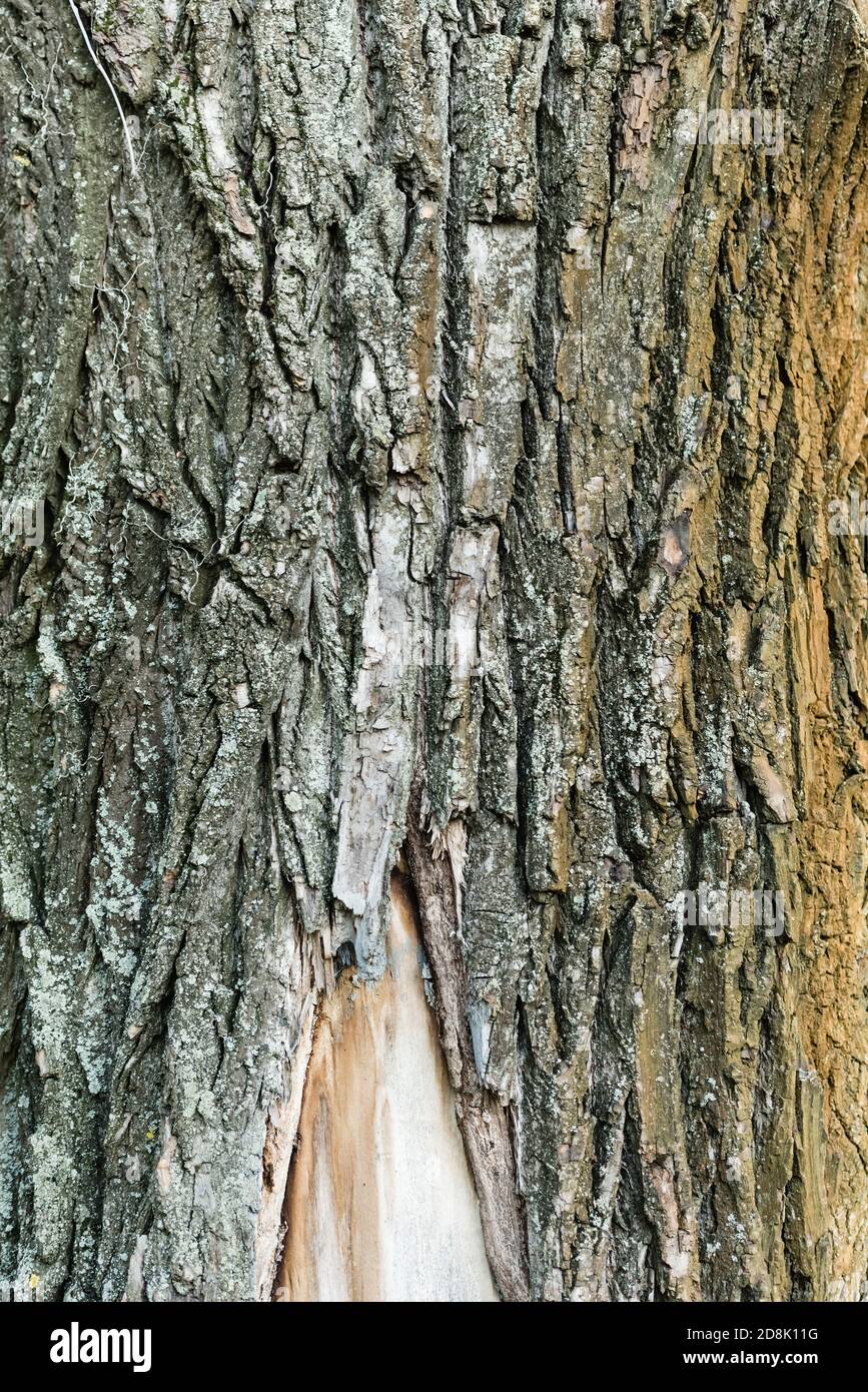 Ecology environment concept close hi-res stock photography and images ...