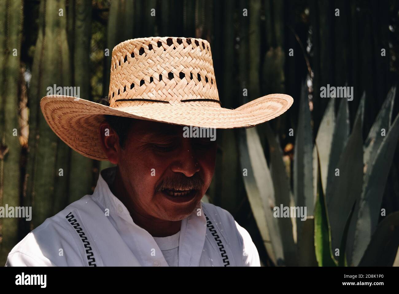 Mexican man next to an agave plant Stock Photo - Alamy