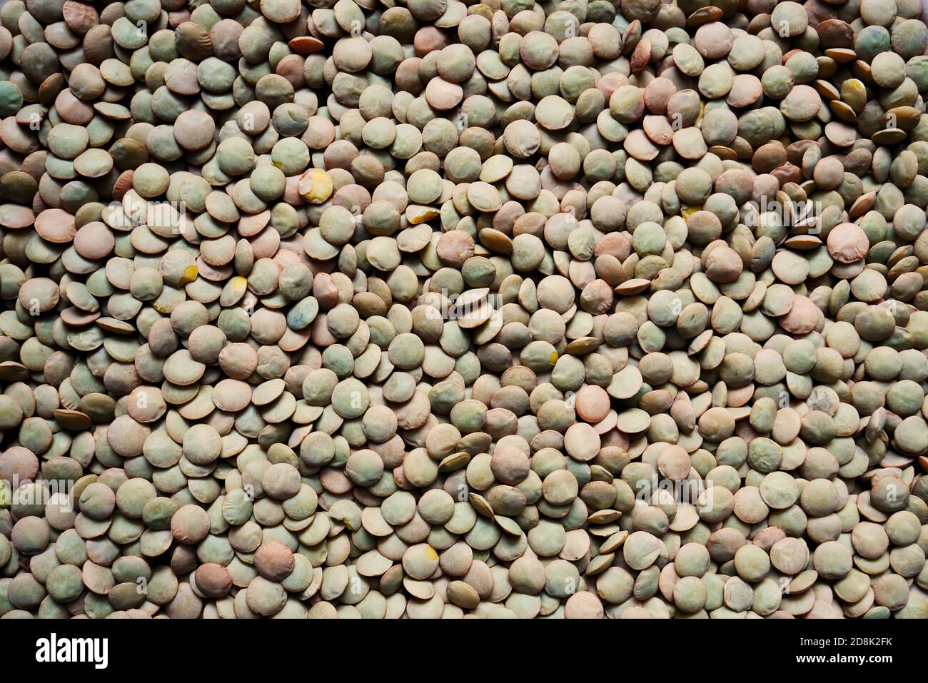 Image shows a close-up of green lentils from above, with nothing else ...