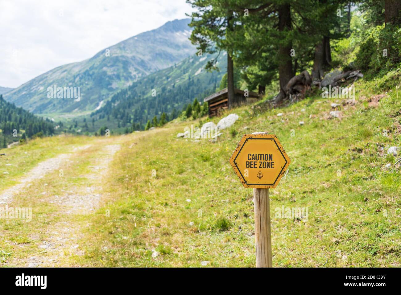 Bee Zone Warning brightly coloured yellow and black warning sign on a ...
