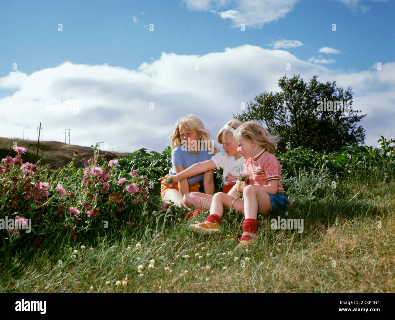 girls sitting on a spring meadow Stock Photo - Alamy