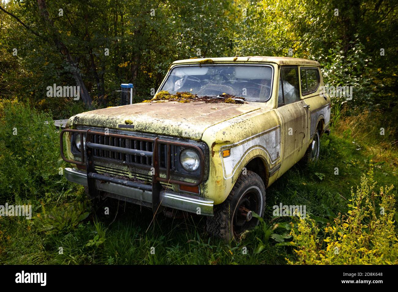 Classic old rusty 4x4 adventure truck in the forest at sunny day Stock ...