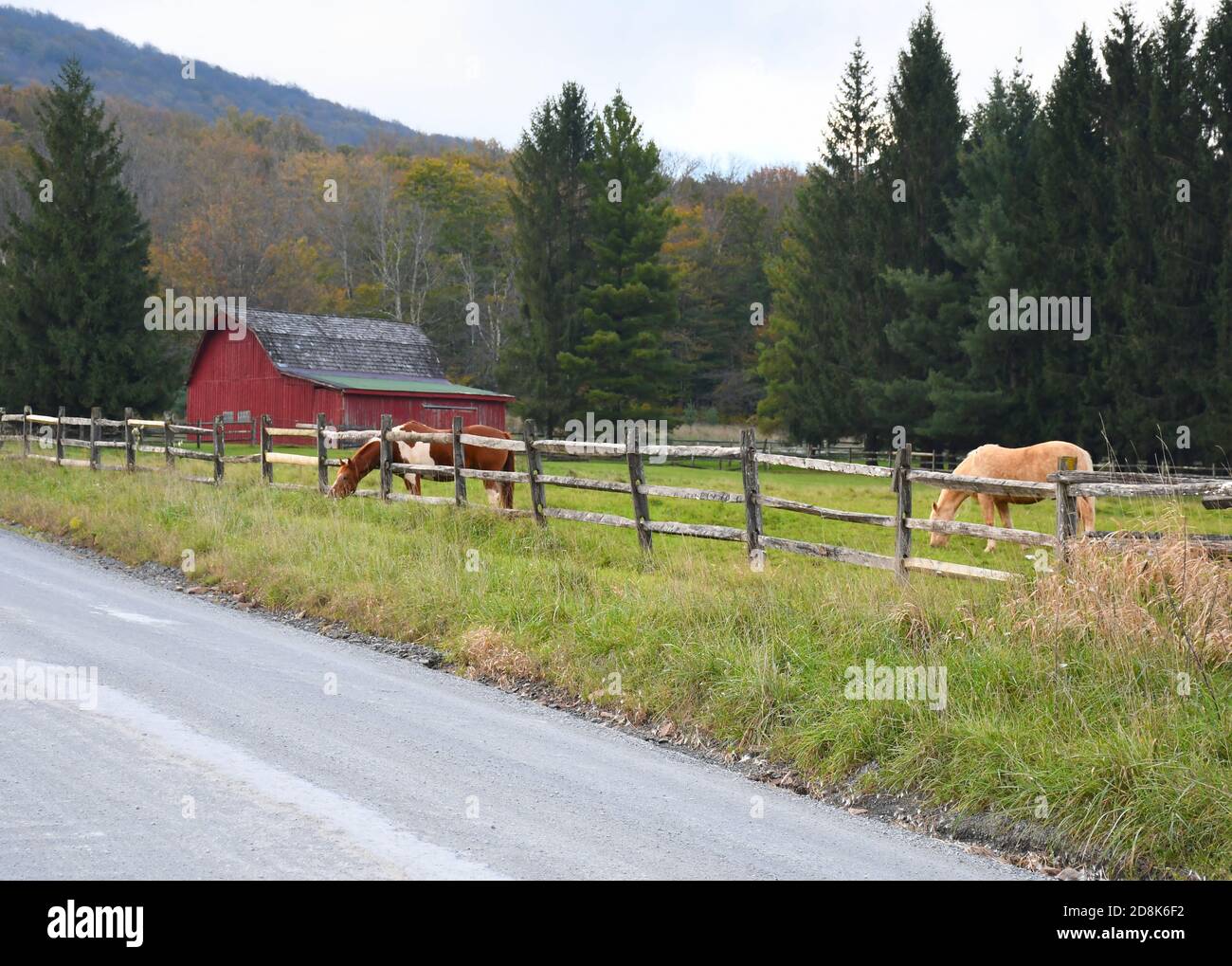 Virginia horse pasture hi-res stock photography and images - Alamy