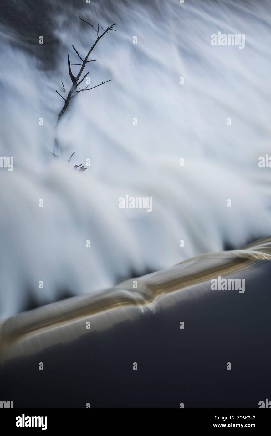 steady twig of a tree in abstract moving water Stock Photo - Alamy