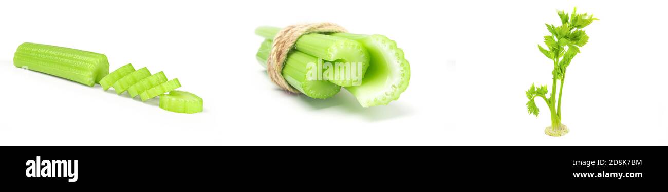 Group of celery isolated on a white background Stock Photo - Alamy