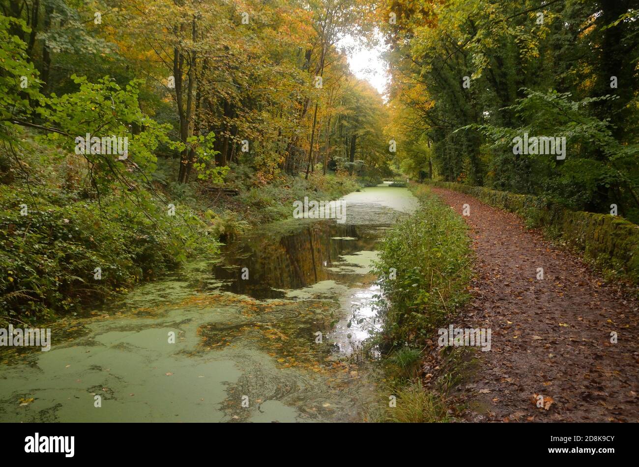A stretch of algae covered slack water and autumnal trees on the ...