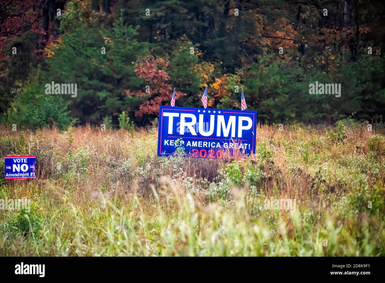 Charlottesville, USA - October 25, 2020: Presidential election ...
