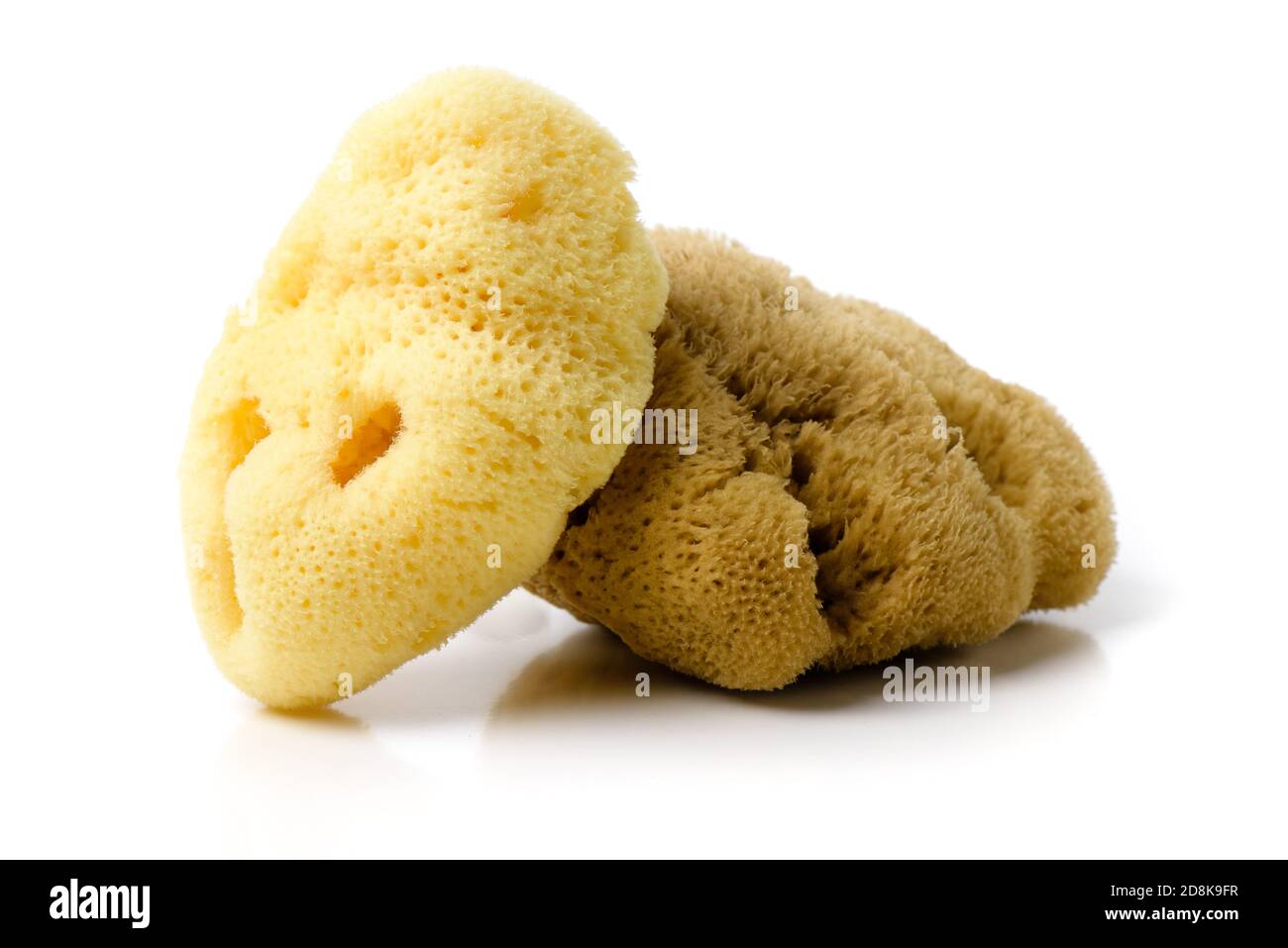 The fine silk natural bathing sea spong isolated over white background ...