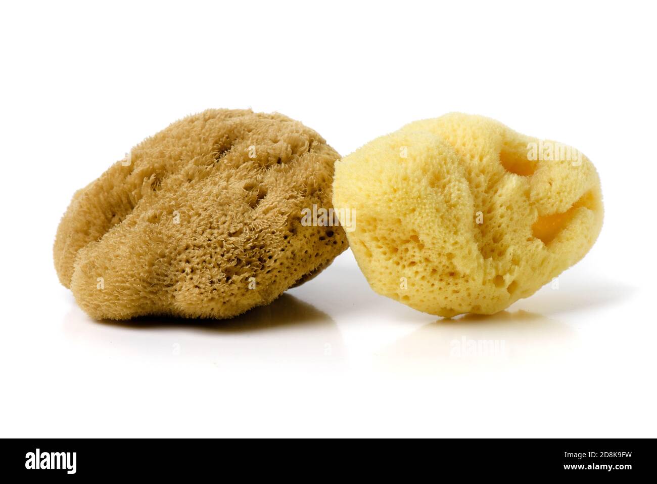 Fine natural Cut Out Stock Images & Pictures - Alamy