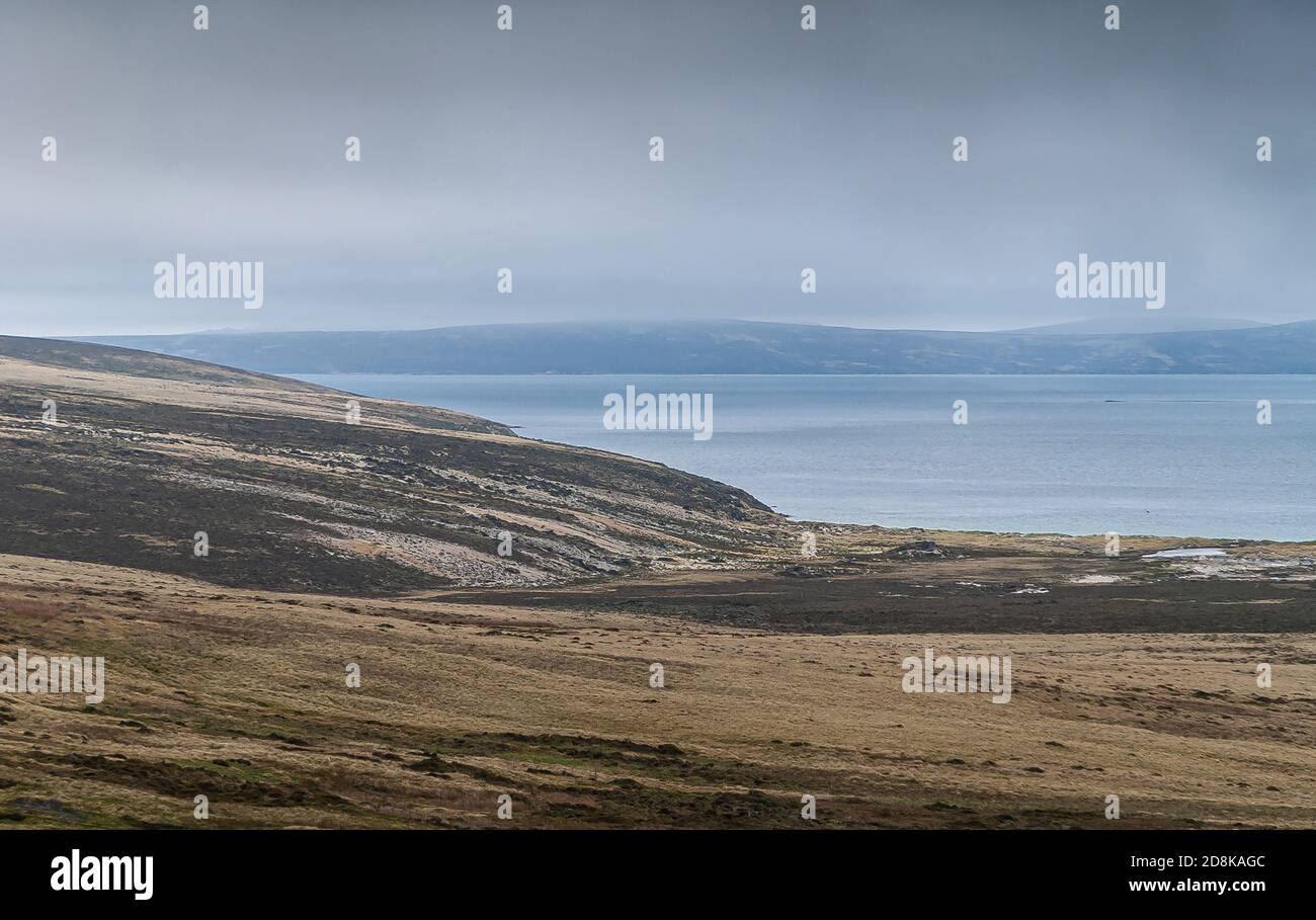 Berkeley sound falkland islands hi-res stock photography and images - Alamy