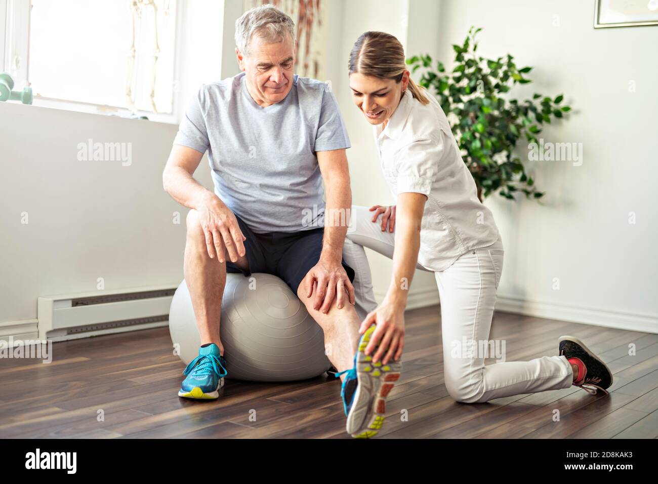A Modern rehabilitation physiotherapy worker with senior client Stock ...