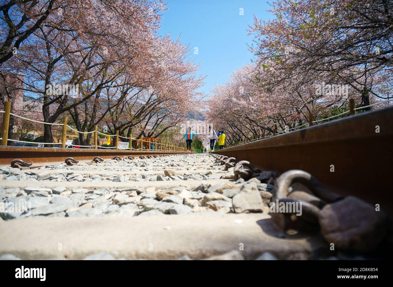 Train bottom garden hi-res stock photography and images - Alamy