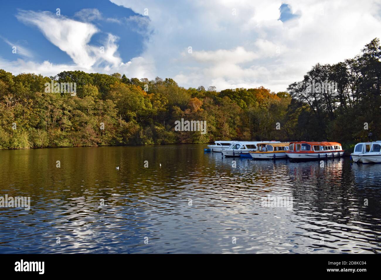 Norfolk broads day boats hi-res stock photography and images - Alamy
