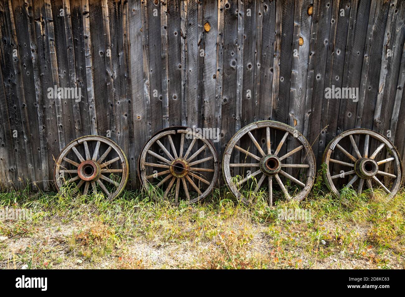 Four wagon wheels against a wooden wall, with grass. Useful for rustic ...