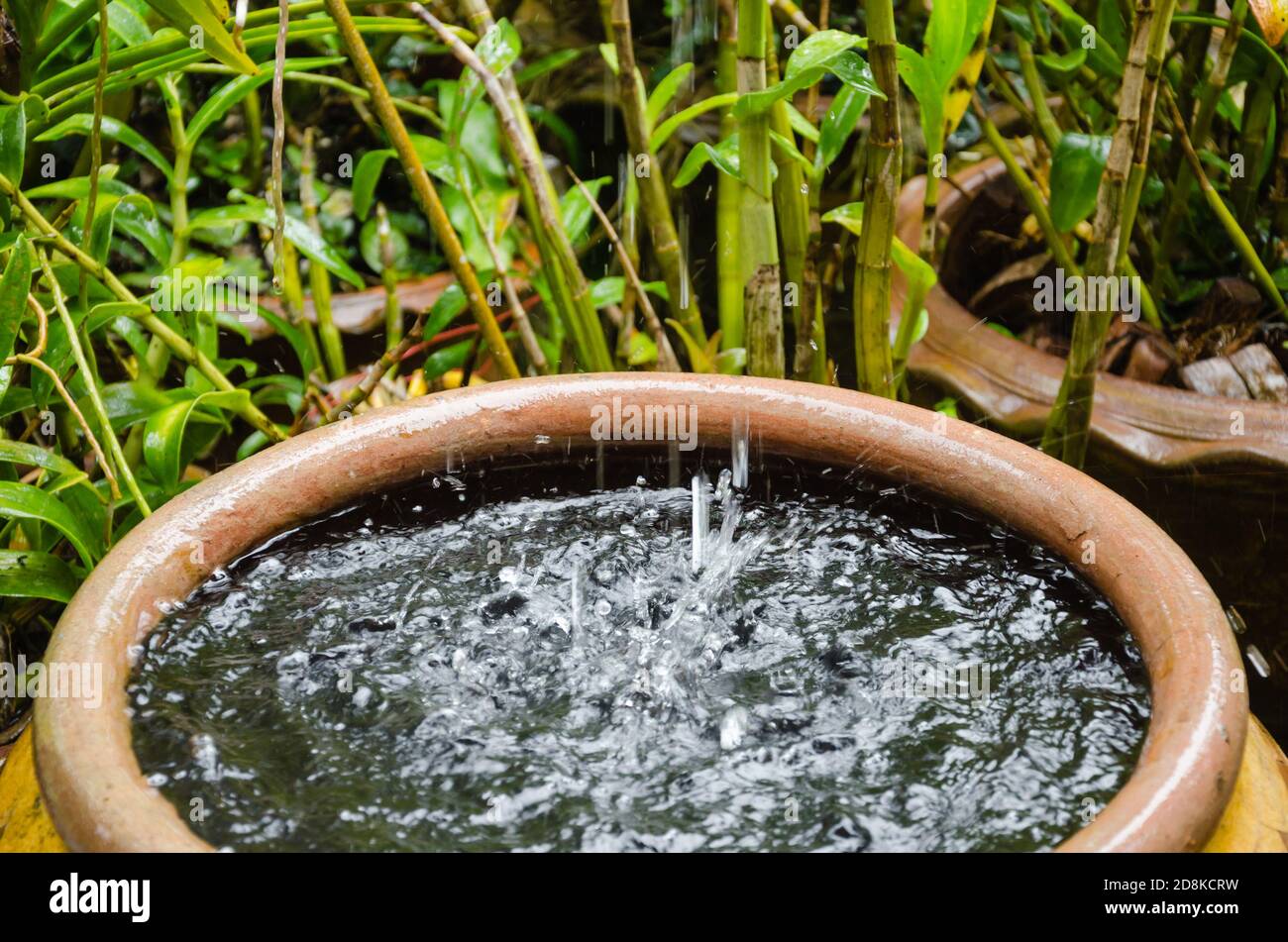 Rain Pouring Down from the Rooftop to Pottery Jar Stock Photo - Alamy
