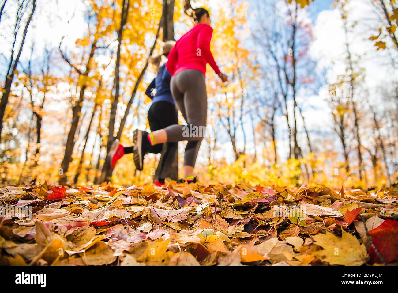 Two running woman jogging in autumn nature Stock Photo - Alamy