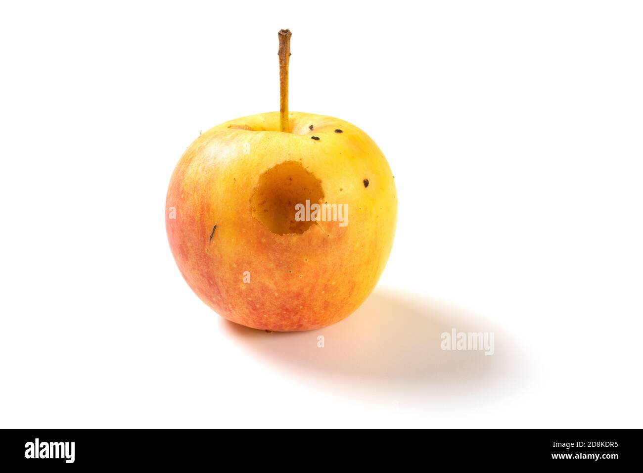 a small rotten apple bited by insect on a white background Stock Photo ...