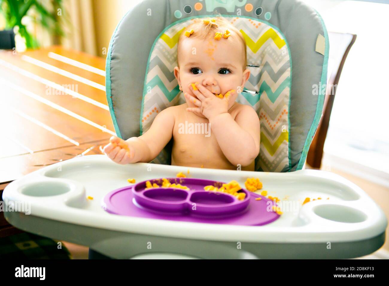 Child plate food studio hi-res stock photography and images - Alamy