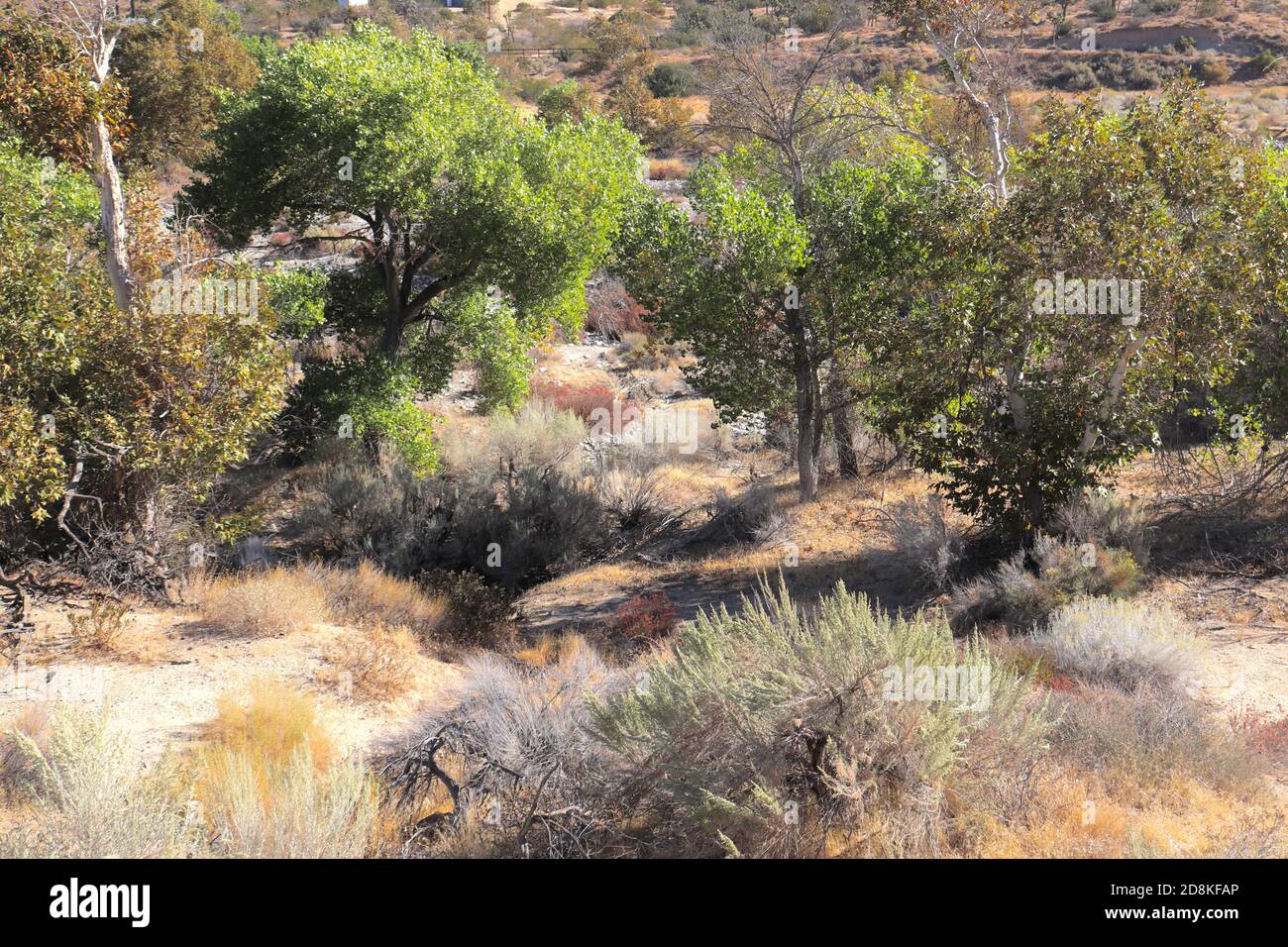 Palmdale desert hi-res stock photography and images - Alamy