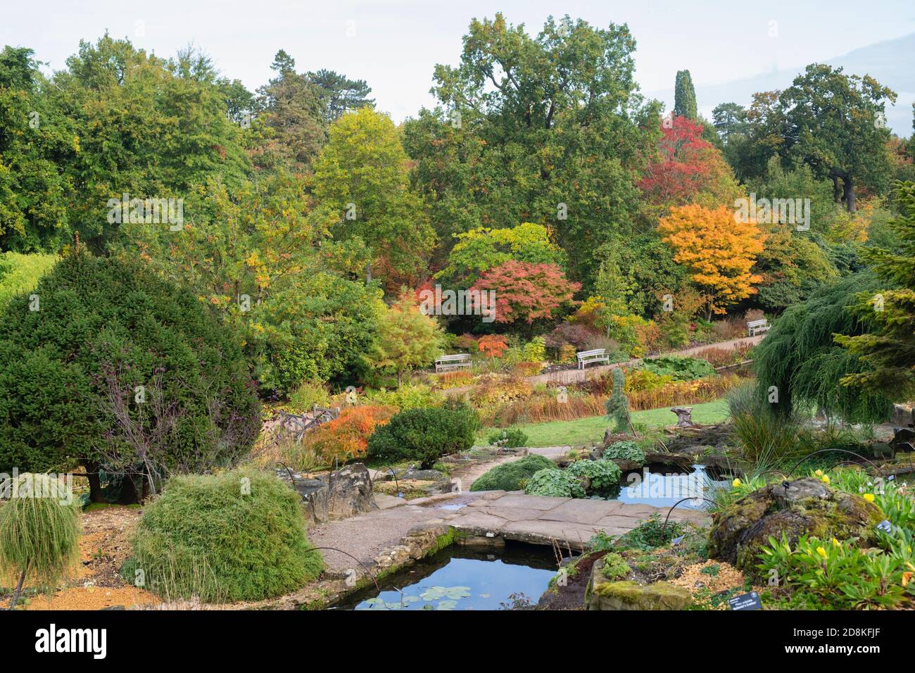 Autumn foliage at RHS Wisley gardens, Surrey, England Stock Photo - Alamy