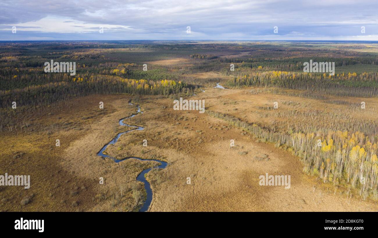 Aerial view floodplain forest hi-res stock photography and images - Alamy