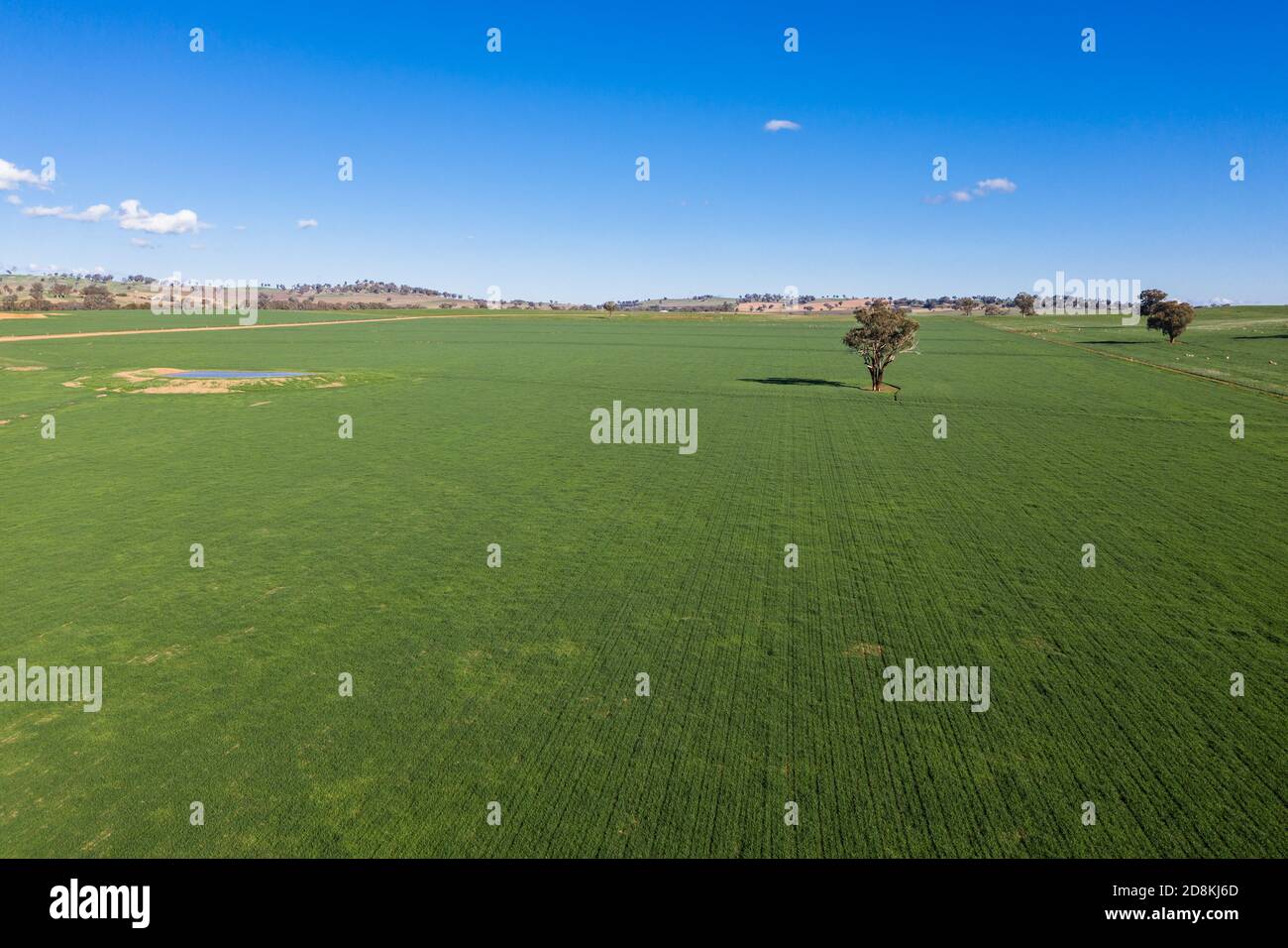 Aerial view of rural farmland near Cowra in the central west of NSW ...