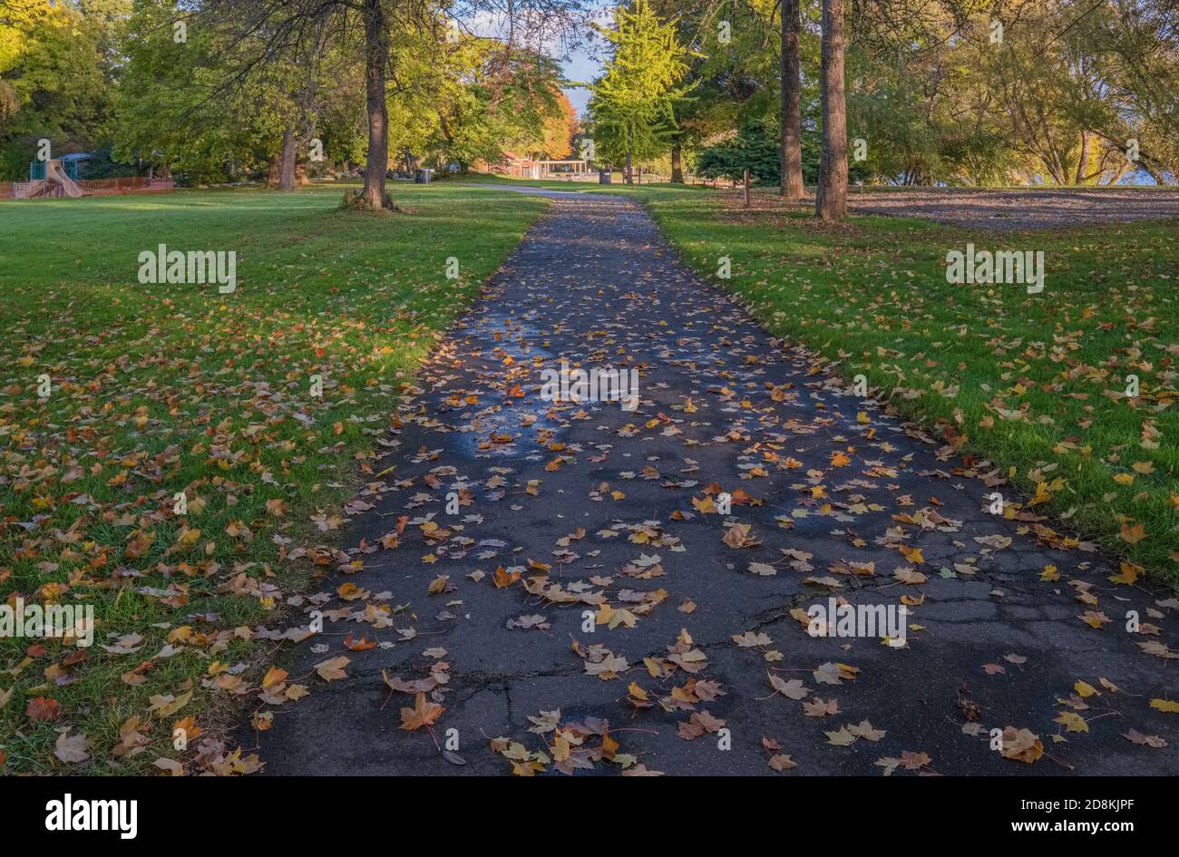 Autumn colors in a public park landscape Oregon state Stock Photo - Alamy