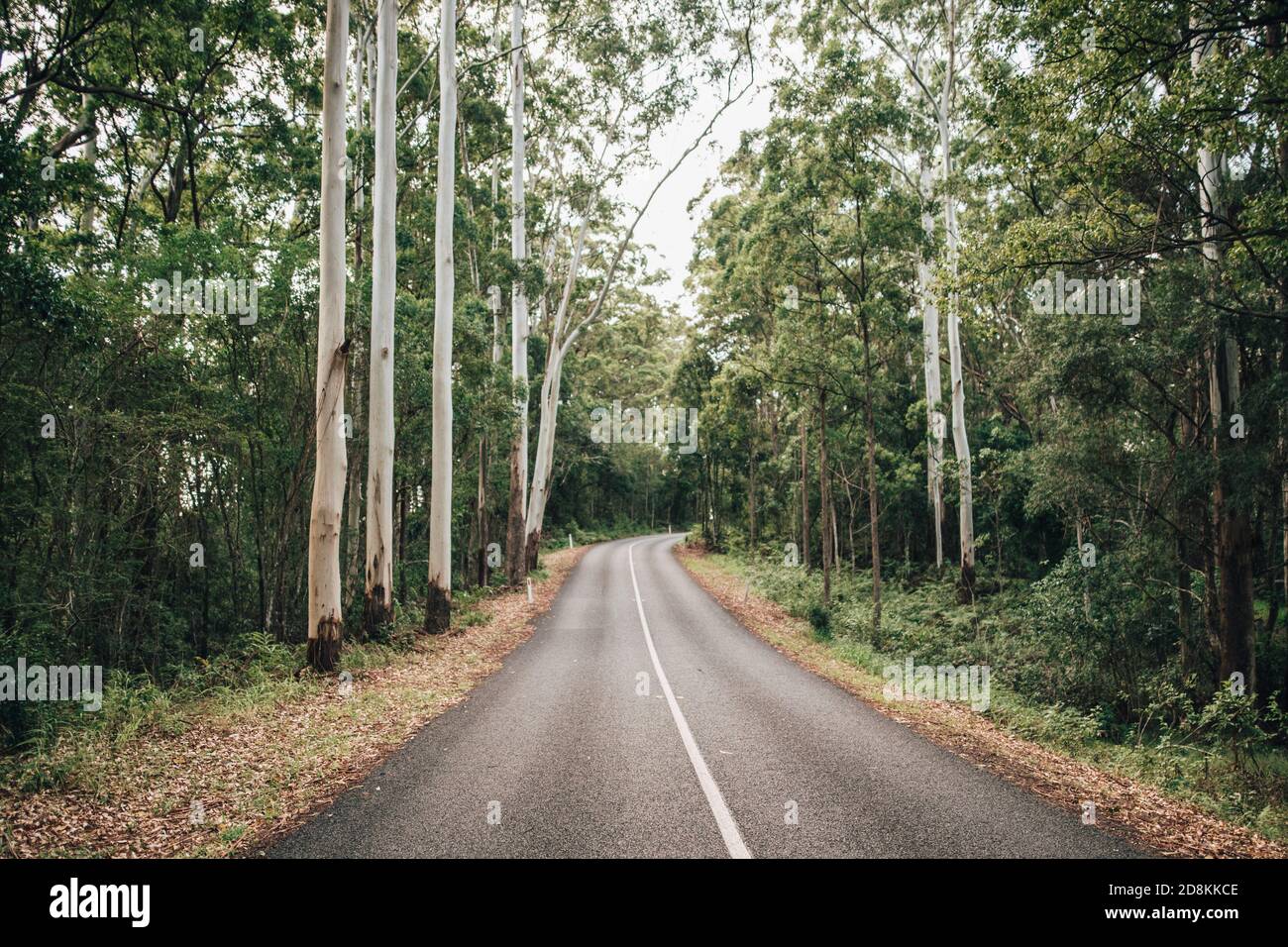 Maleny, Queensland, Australia Stock Photo - Alamy