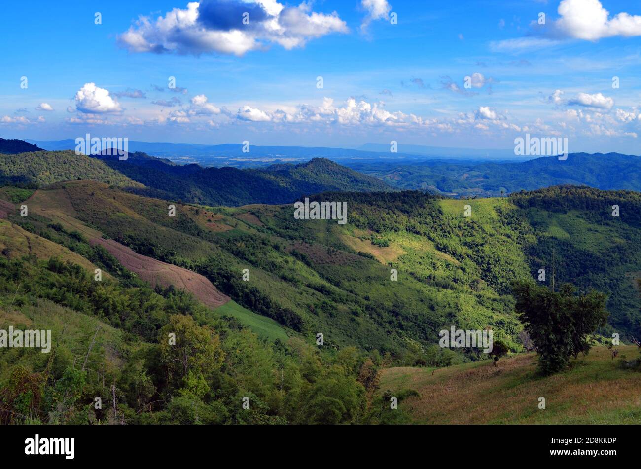 Chiang Rai, Thailand - Countryside near Doi Chaang Coffee Plantation ...