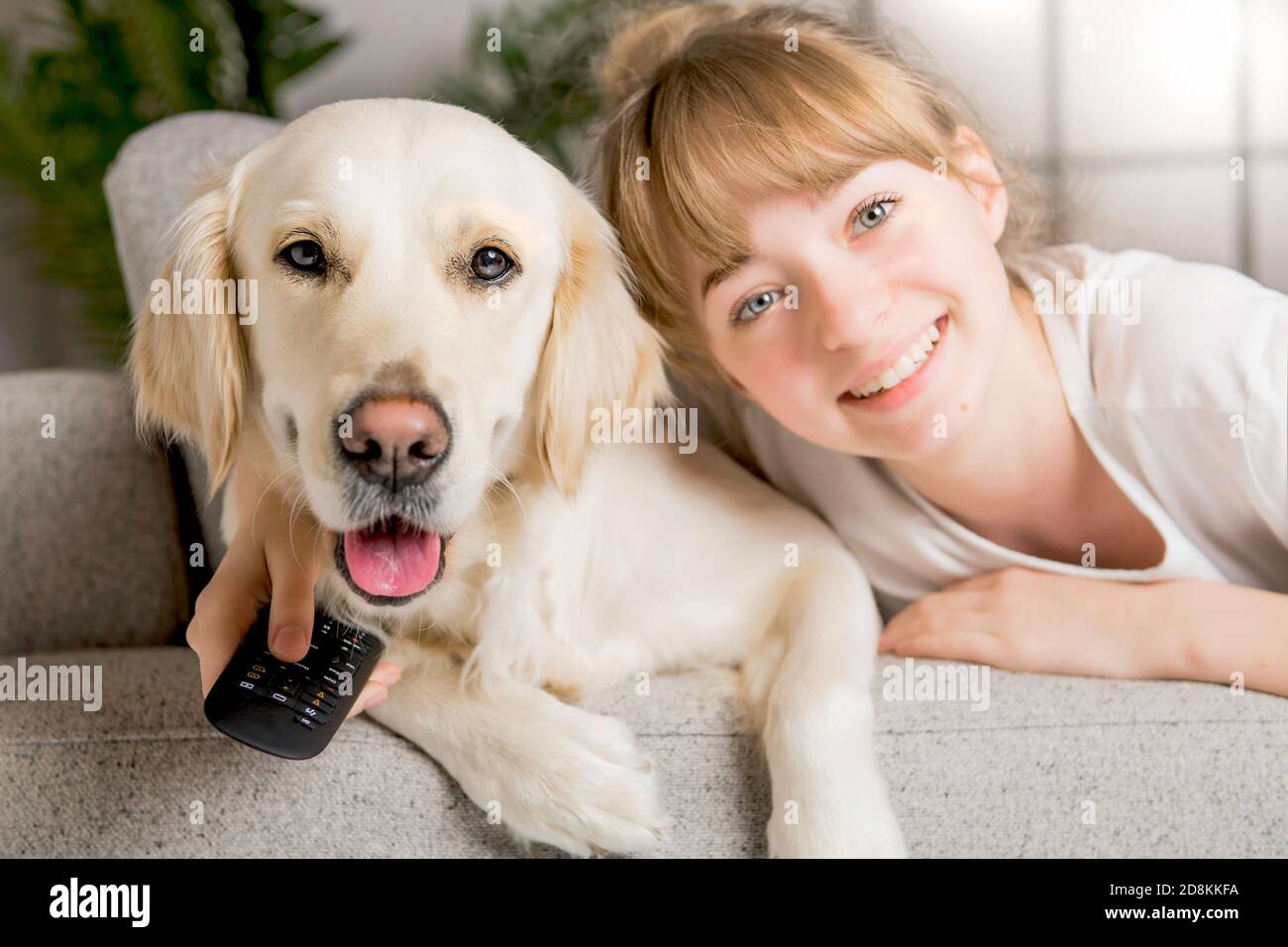 Female television dog hi-res stock photography and images - Alamy