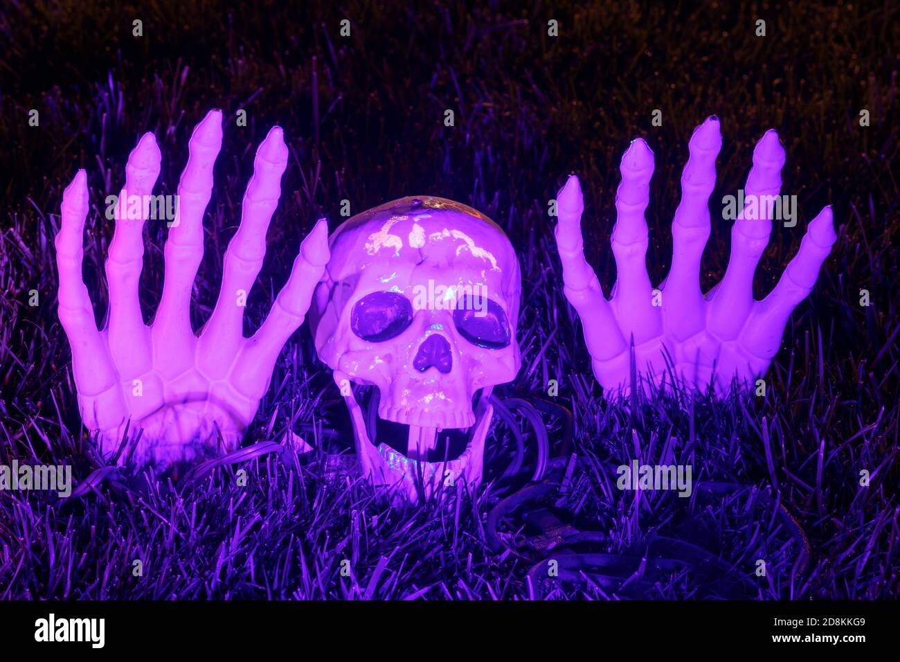 Skull buried hi-res stock photography and images - Alamy