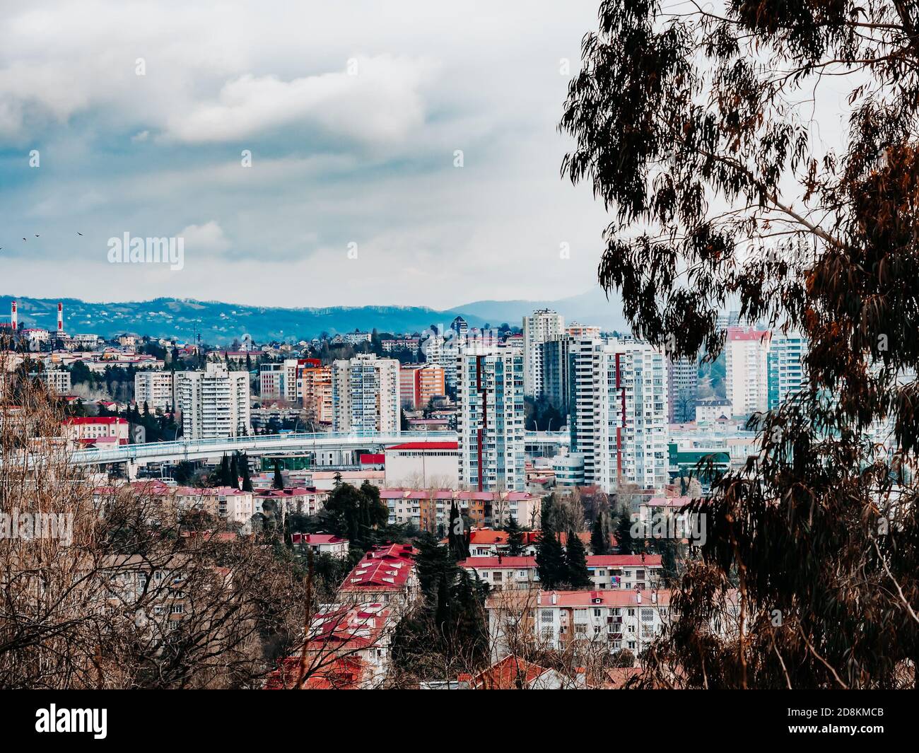 Cityscape with skyscrapers and low houses with a dry tree in the ...