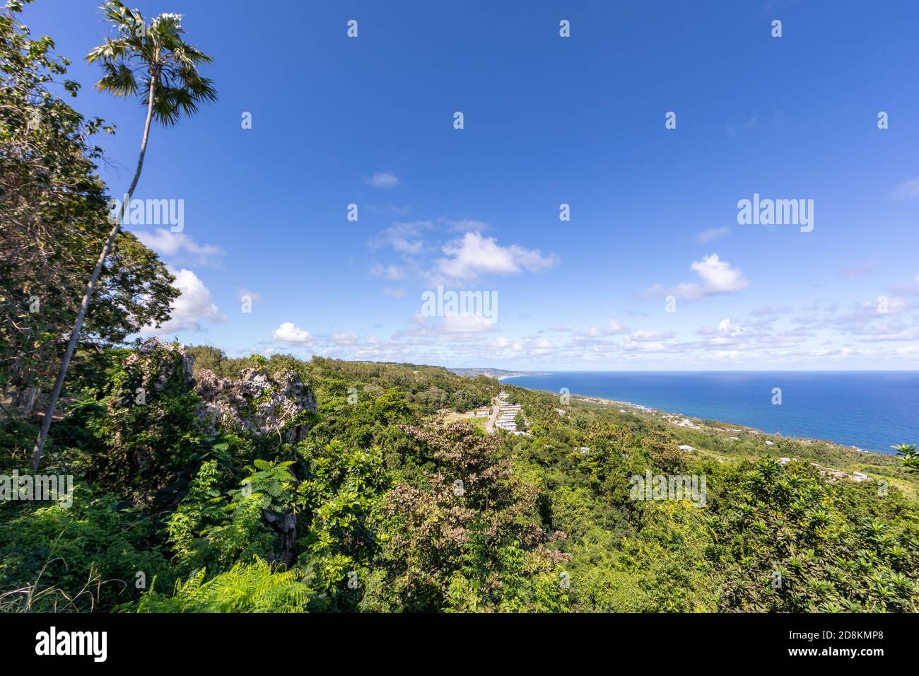 Barbados country and view to east coast Stock Photo - Alamy