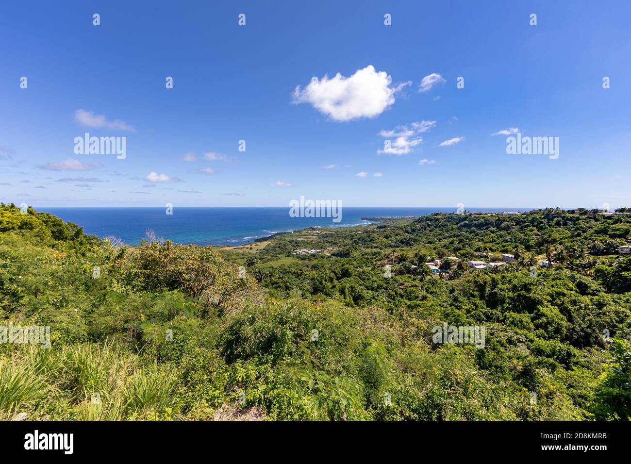 Barbados country and view to east coast Stock Photo - Alamy