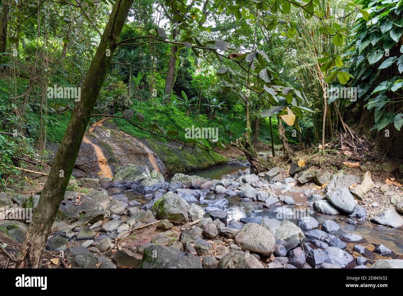Annandale water hi-res stock photography and images - Alamy