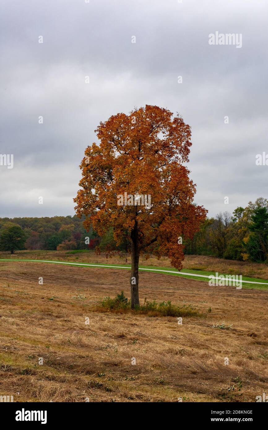 Large open field hi-res stock photography and images - Alamy