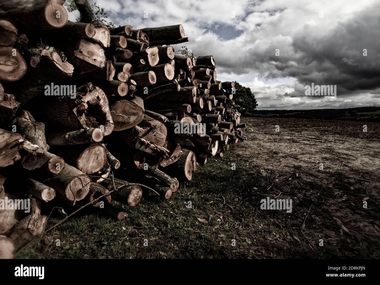 Timber Extraction High Resolution Stock Photography and Images - Alamy