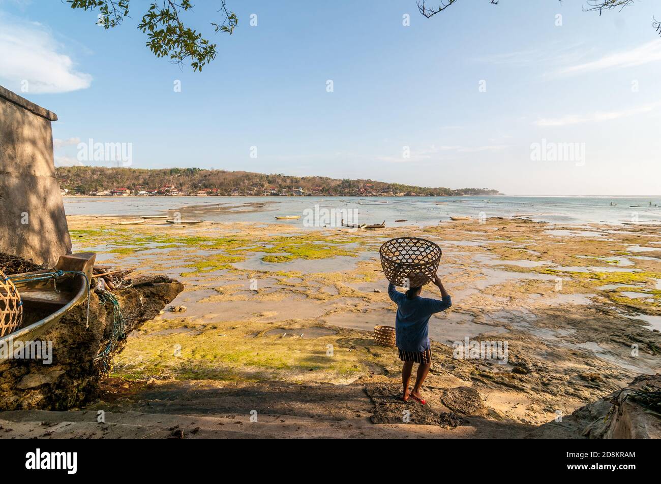 sea weed farmers at work in Nusa Lembongan, Bali, Indonesia Stock Photo ...