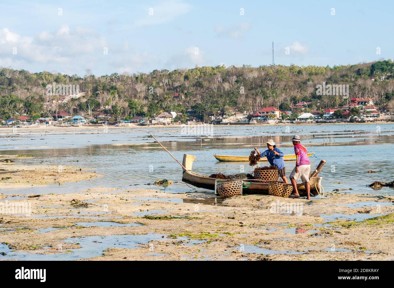 sea weed farmers at work in Nusa Lembongan, Bali, Indonesia Stock Photo ...