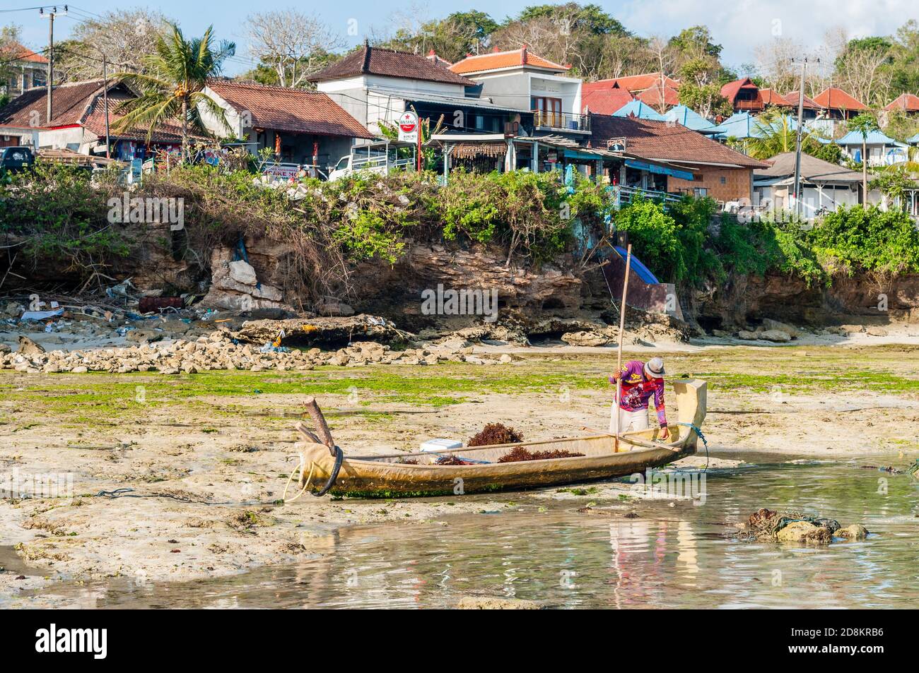 Cultivating seaweed hi-res stock photography and images - Alamy