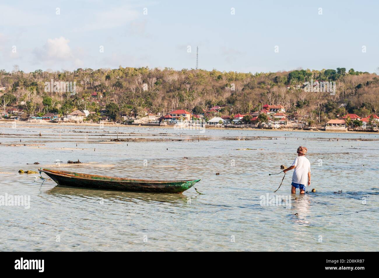 sea weed farmers at work in Nusa Lembongan, Bali, Indonesia Stock Photo ...